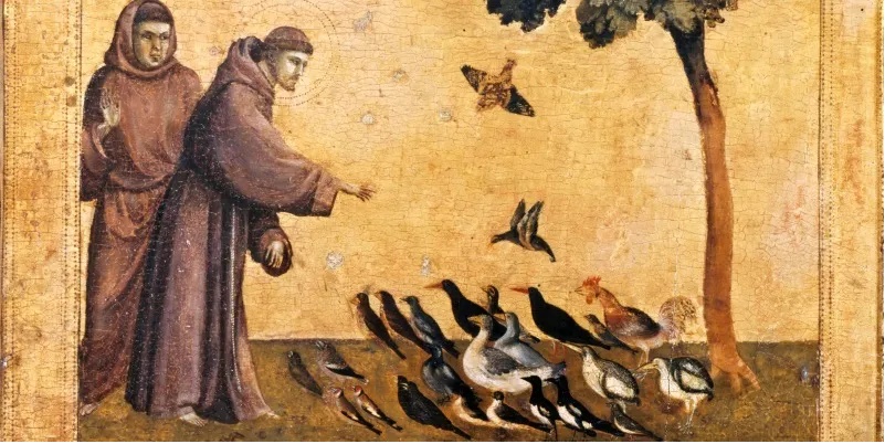 Oggi si celebra San Francesco D 'Assisi; la sua vita e il suo pensiero ...