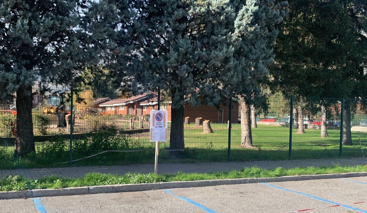 Aosta, taglio dei pioppi per la riqualificazione della pista di ...